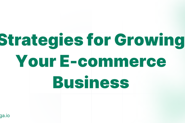 E-commerce customer lifecycle optimization - Cotinga